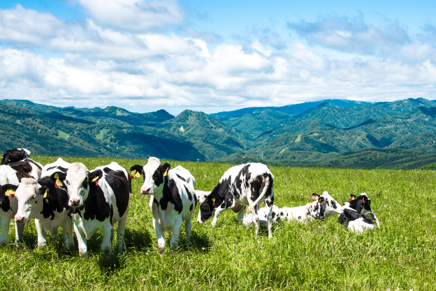 Program Hokkaido - Open Network Lab (オープンネットワークラボ)